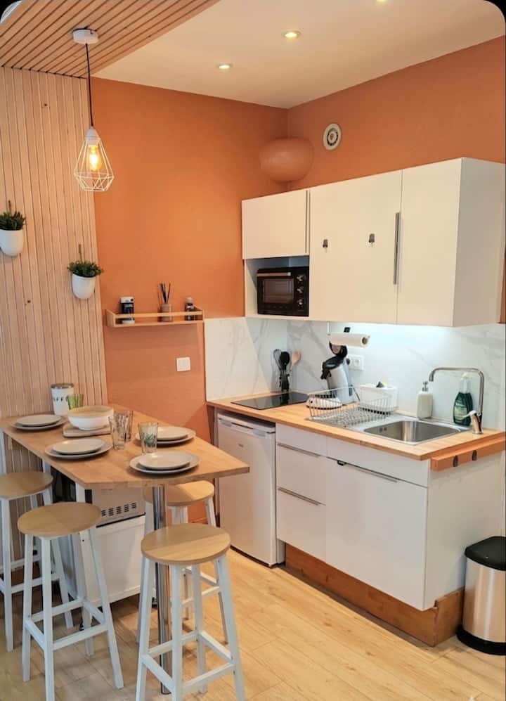 Hyper Centre Chambéry+garage Privé
Cosy Et Moderne - Chambéry