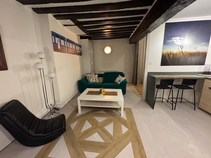 Le Rempart - Appartement Bords De Loire - Orléans