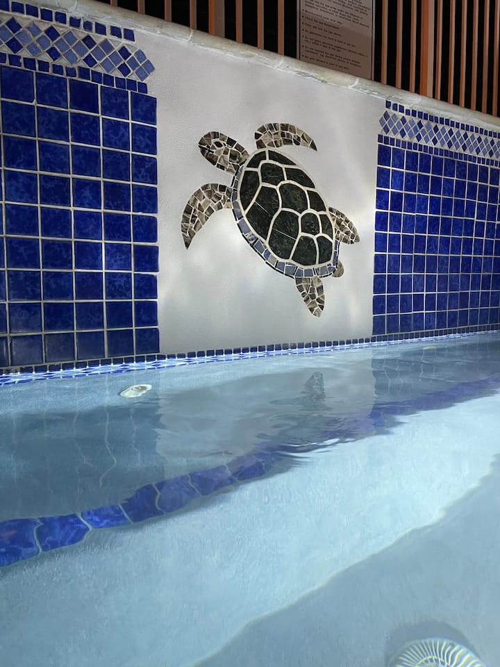 Ground Floor Heated Pool/jacuzzi Beachfront Bldg - South Padre Island, TX