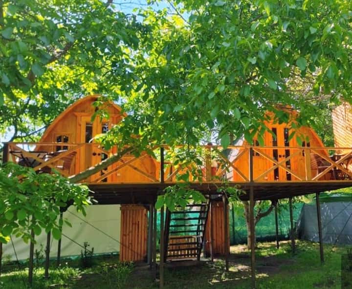 Cabañas Peñaflor - El Monte