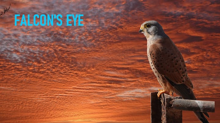 Le Tout Confort Face à La Mer - Sidi Ifni