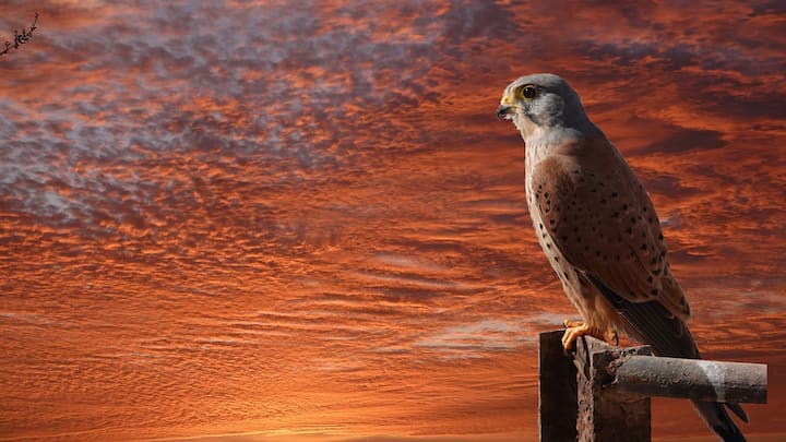 Falcon View Terrace 72m2 - Sidi Ifni