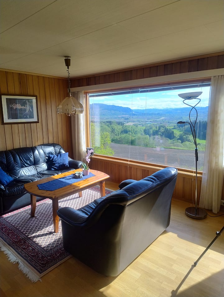 Helt Hus I Retro Funkis Stil - Melhus