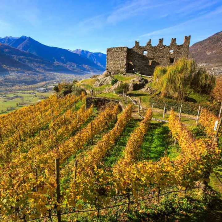 Nuovo Bilocale Sondrio - 
Dossi Salati - Sondrio