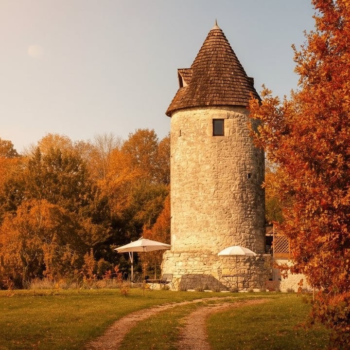 Vineyard Windmill • Toujours Dimanche - France