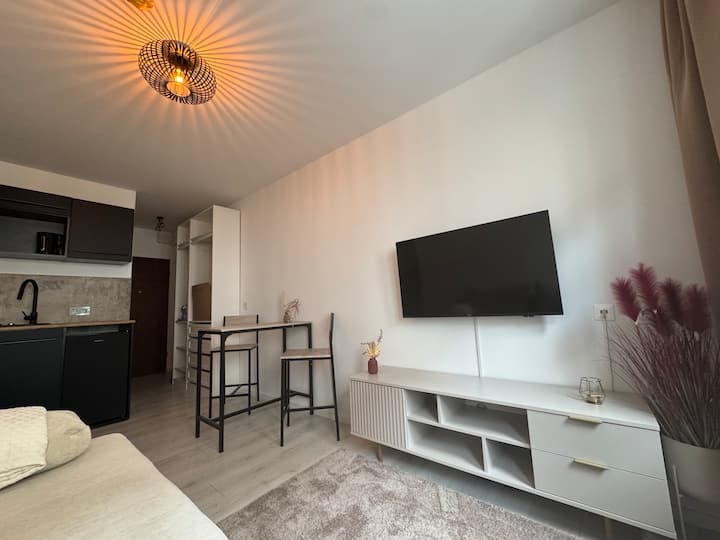 Gemütliches Studio Appartement - Munich