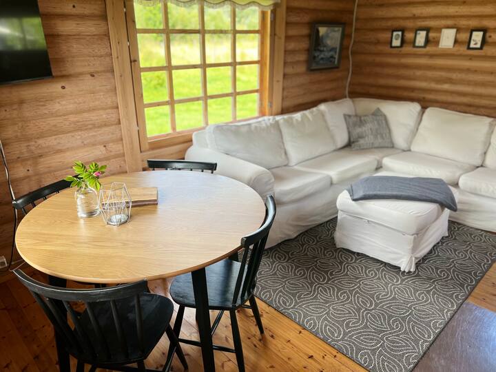 Villa Happiness With Private Beach - Hämeenkyrö