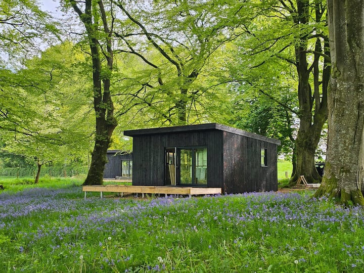 Lochside, Dark Sky Hideaway - Castle Douglas