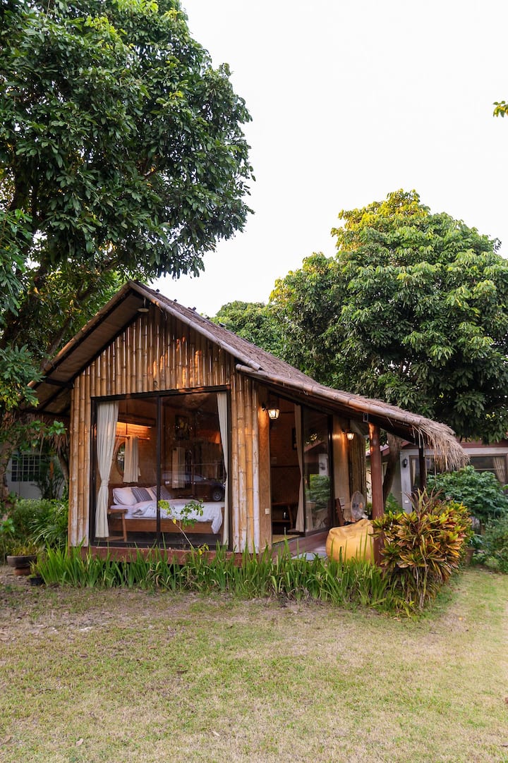 Lion Resort （Live With A Lion） - Thailand