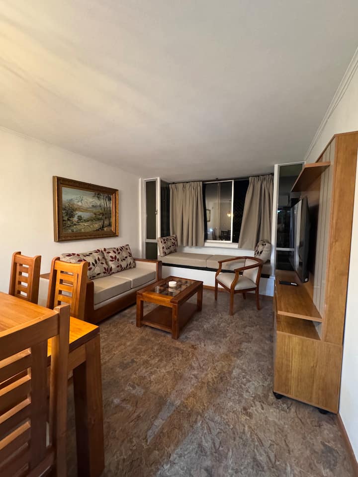 Acogedor Depto. Céntrico Con Estacionamiento - Santiago