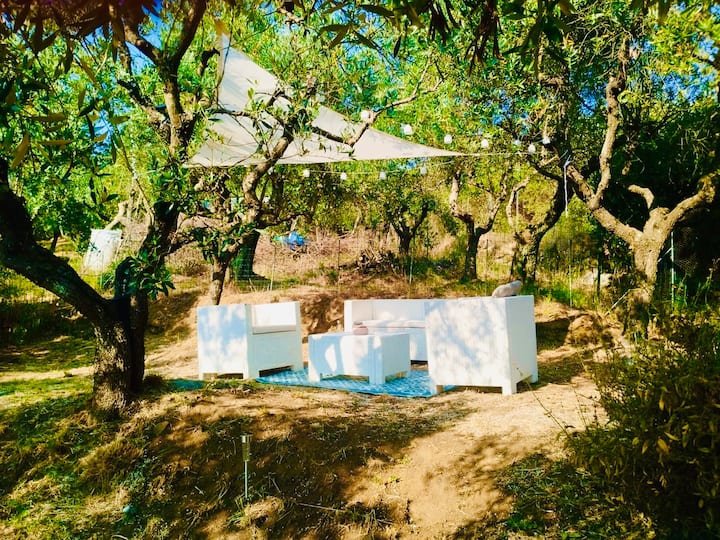 Casa Isabella, Garden, Barbecue - Vinci