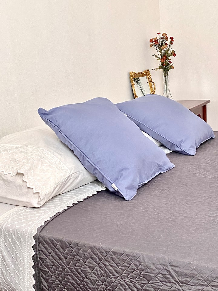 Depto En Santiago Centro - Santiago