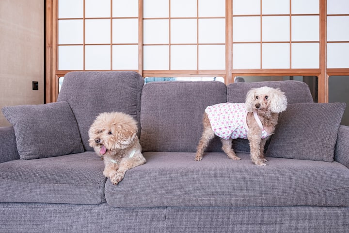 愛犬と泊まれる一棟貸し｜安曇川5分・駐車場2台｜自然満喫・川遊びok - Shiga