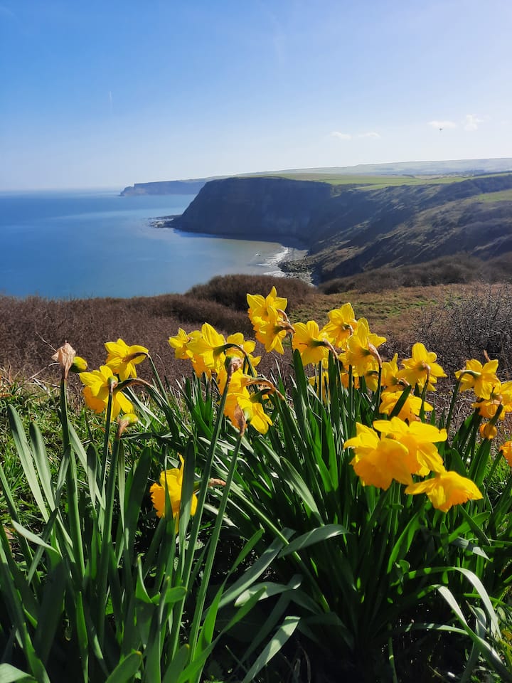 Quirky Charming Period Property - Ravenscar