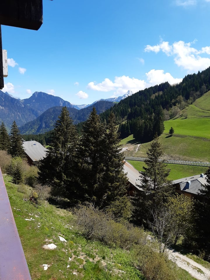 T2 Rénové Et Vue Sur Montagnes - La Baume