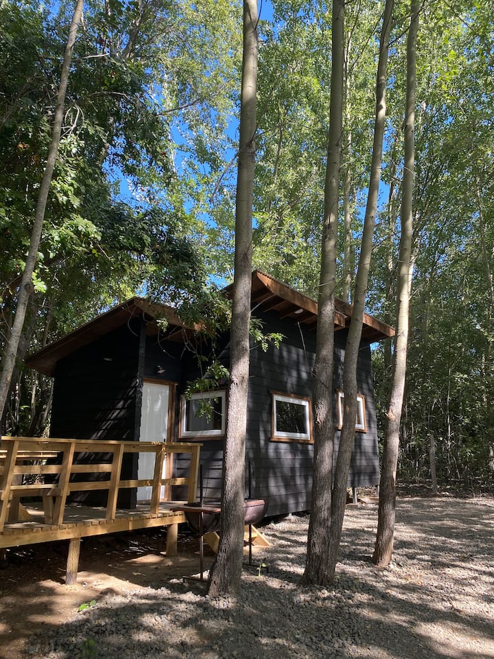 Acogedora Cabaña - Ñuble
