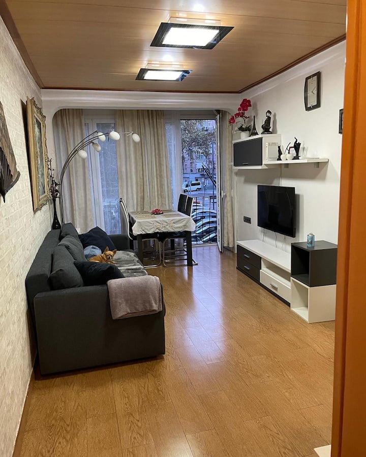 Cozy Flat. - Sant Adrià de Besòs