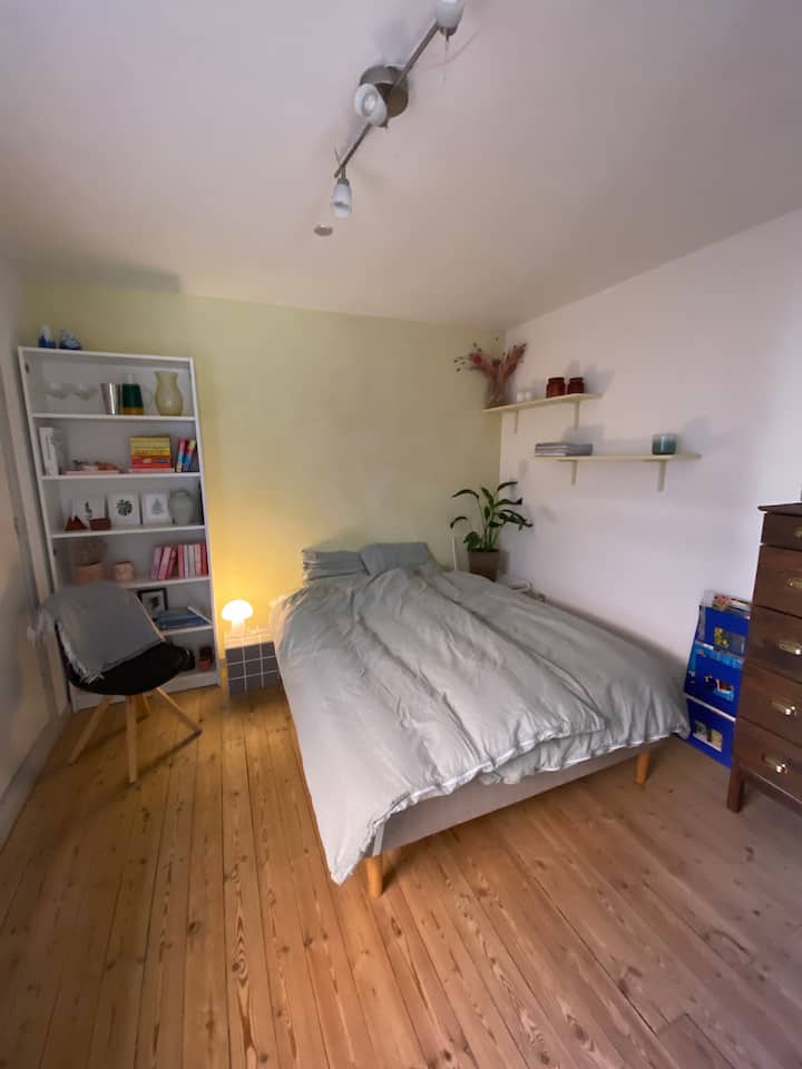 Bo Midt I Odenses Gågadesystem - Odense
