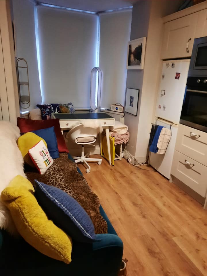 Studio With Kitchen And Wallbed. -