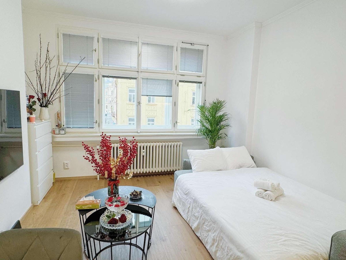 Gemütliches Nest-Zuhause - Condos zur Miete in Praha 5, Hlavní město ...