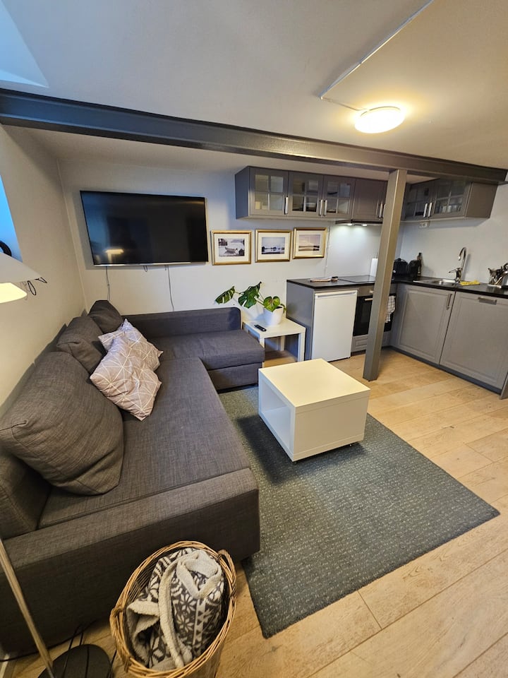 Studioleilighet I Bergen Sentrum - Bergen