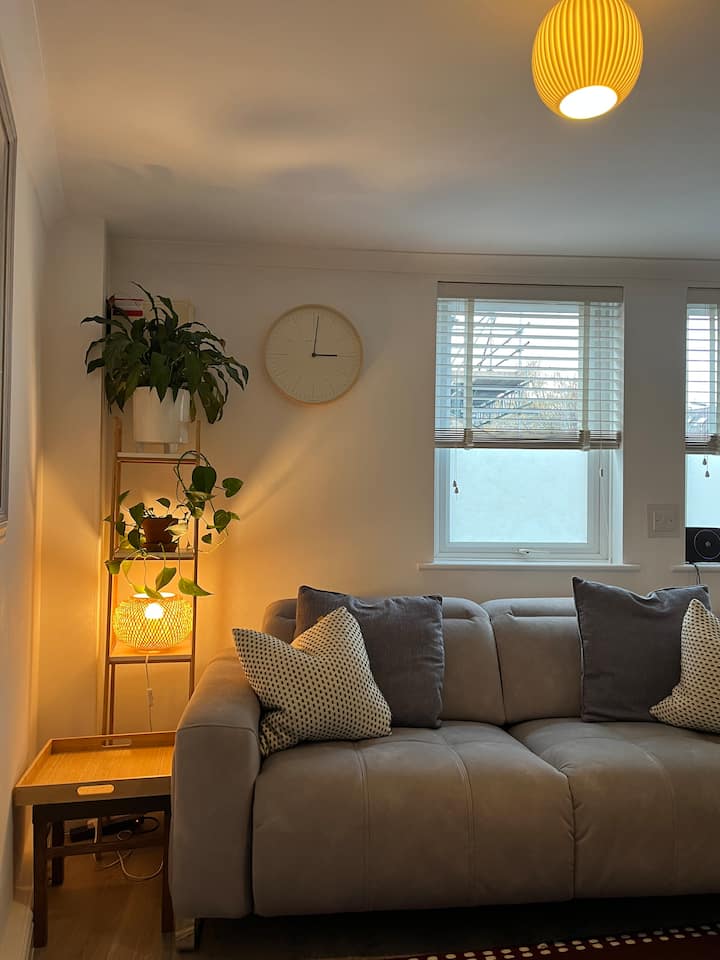 Beautiful Central Cambridge Flat - Cambridge