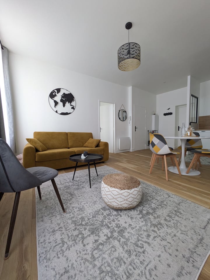 Le Petit Pithou, T2 Hypercentre. - Troyes