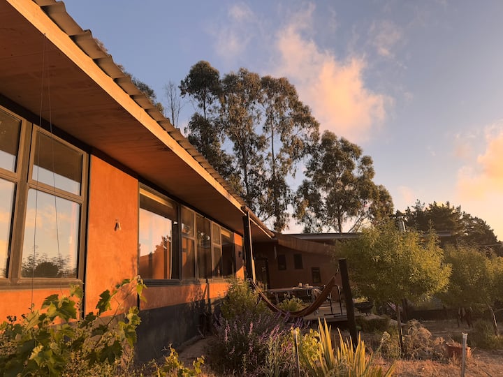 Cómoda Casa Ecológica En El Bosque, 7 Min Centro. - El Quisco