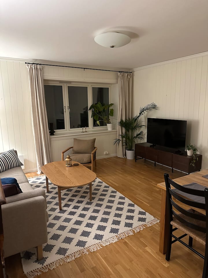 Leilighet På Torshov - Oslo