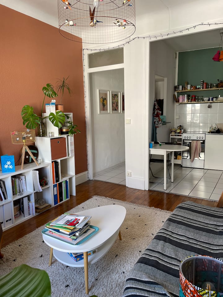 Appartement Cosy à Lyon 7 - Bron