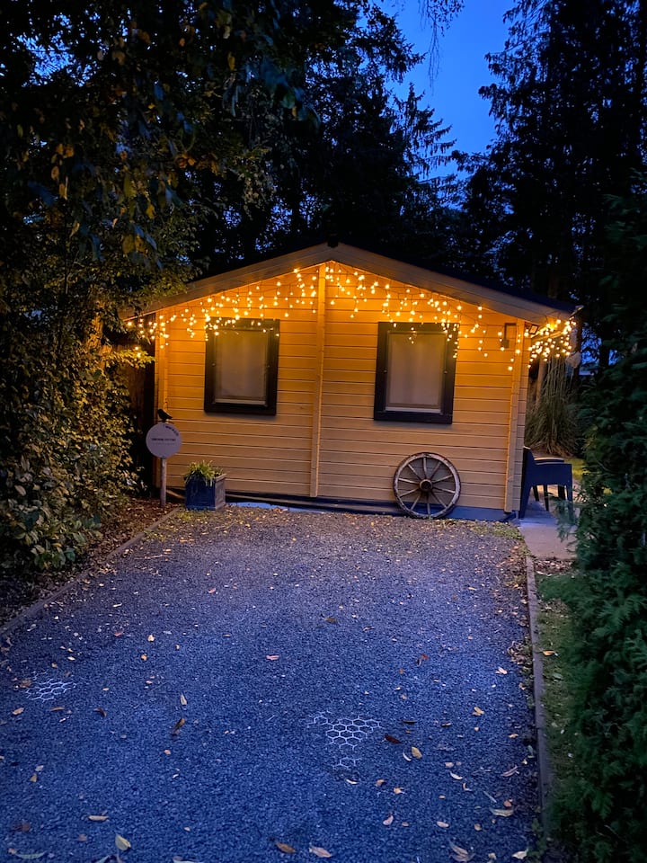 Gezellig 5p Chalet Op Veluwe Naast Sauna Drome - Putten