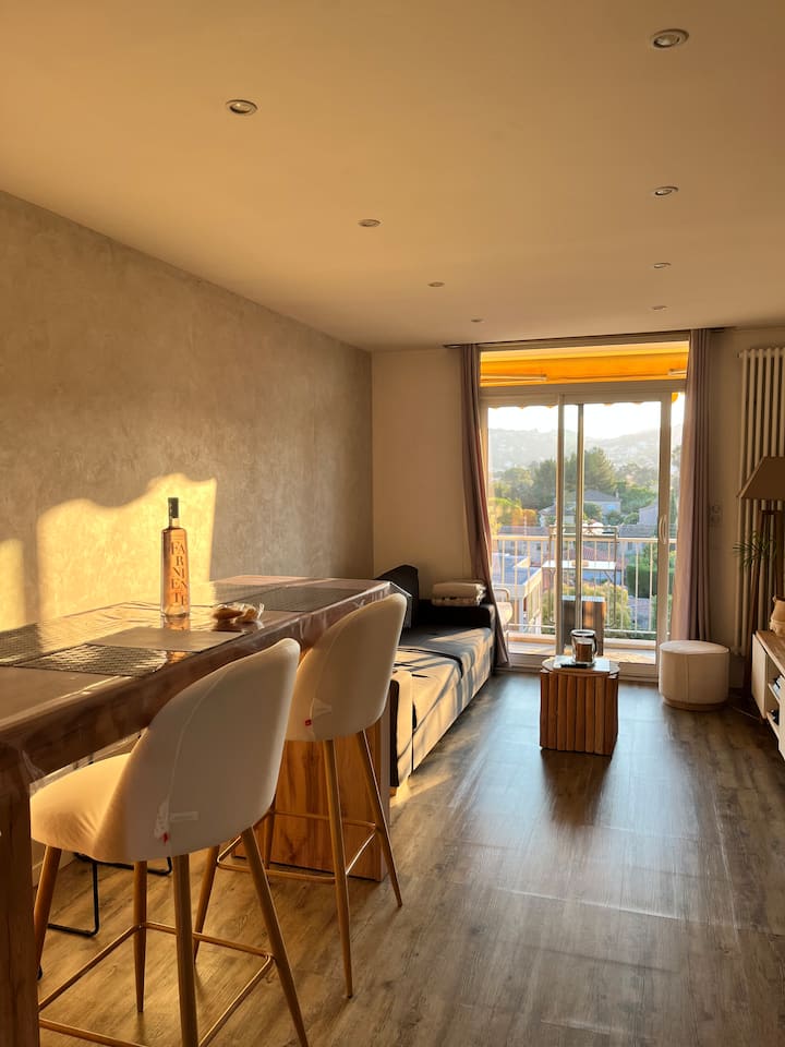 Bel Appartement 50m2 Parking Et Plage à Pied - Antibes