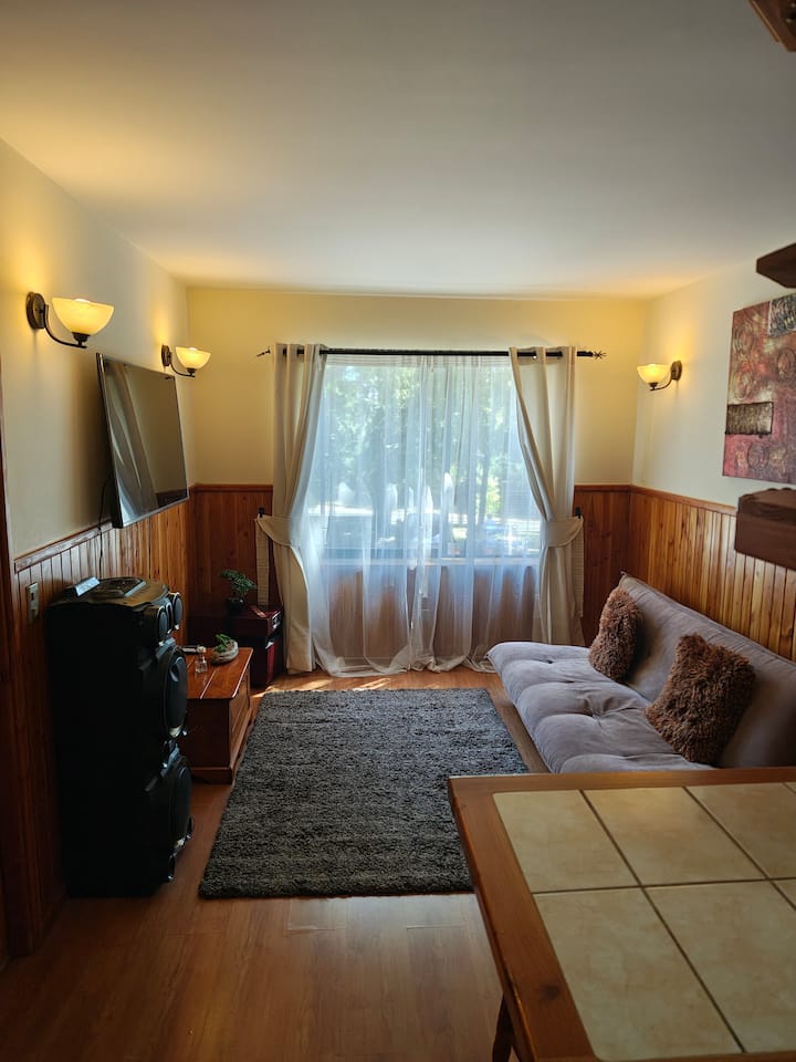 Depto. Lindo Y Acogedor - Pucón