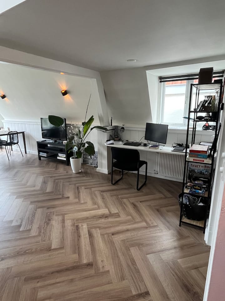 2 Kamer Appartement Aan De Oudegracht. - Utrecht