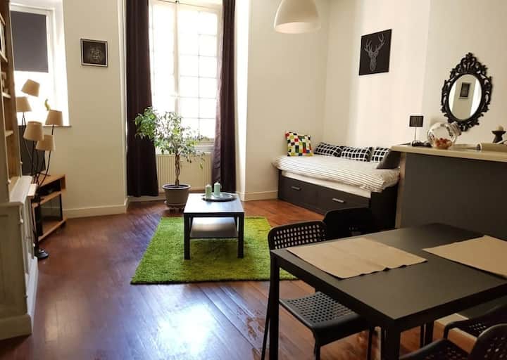 Vaste Studio Quartier Historique - Blois