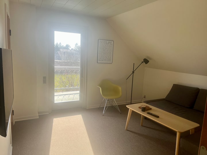 Central Room Billund - Billund