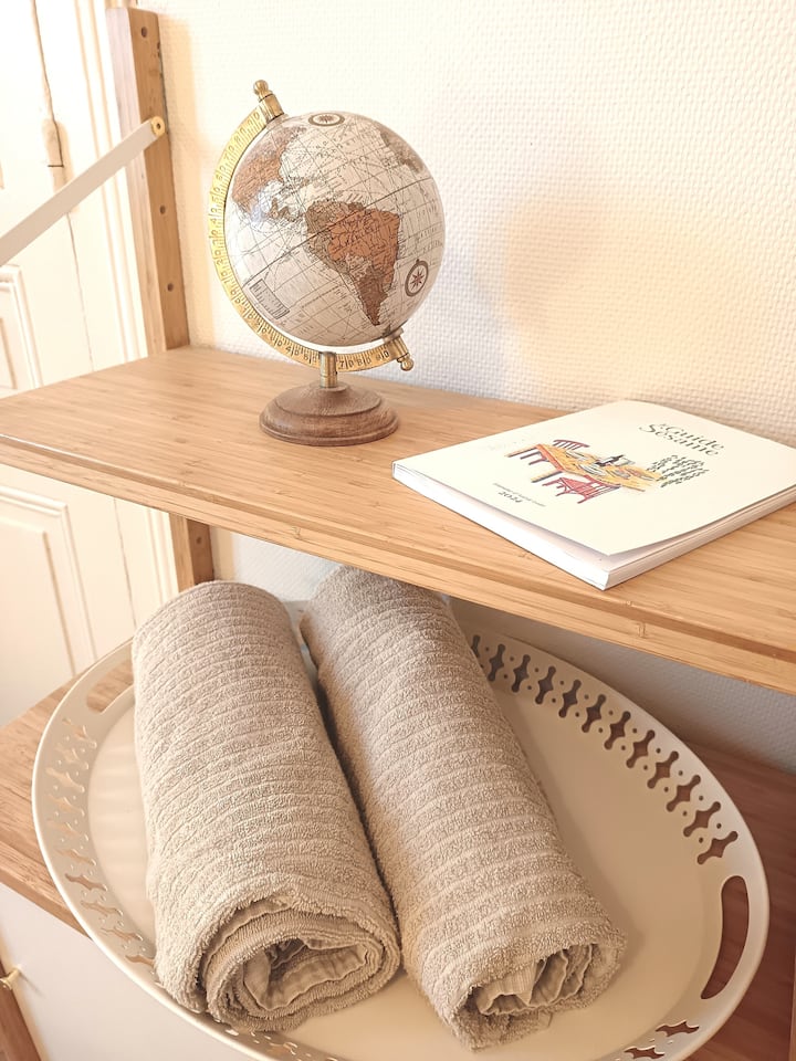 Studio Cosy Hyper Centre - Vieux Tours- Lit Queen - Tours