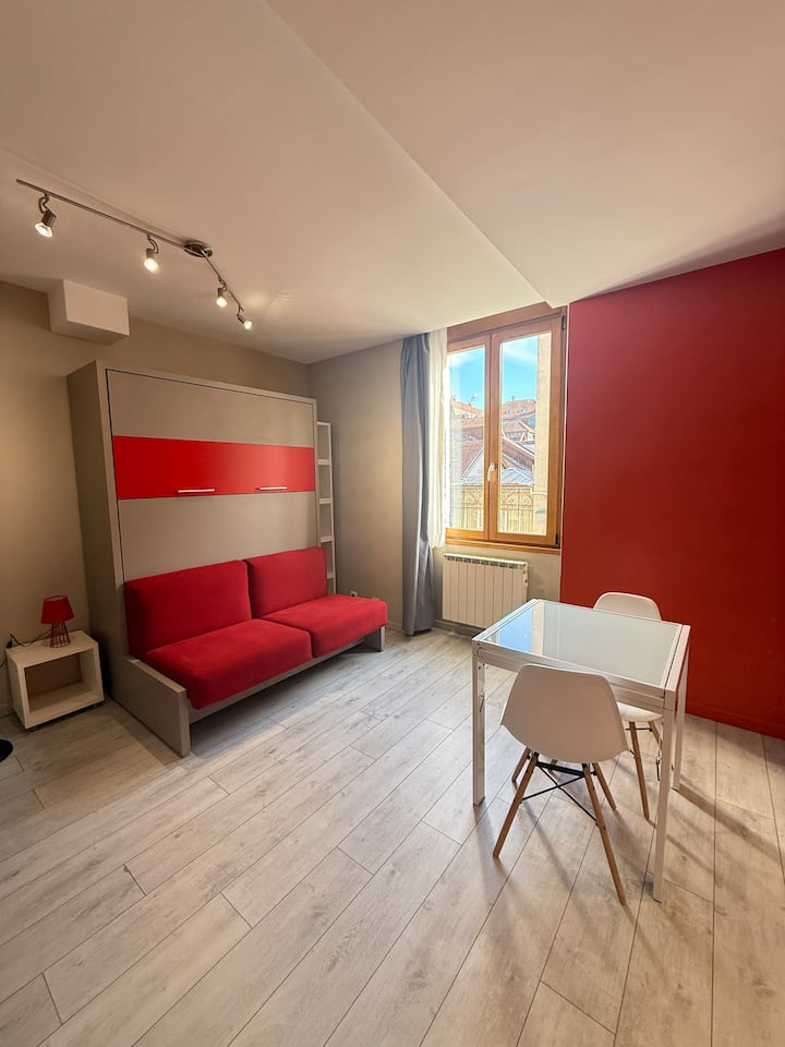 Studio 25 M2 Centre Ville D'annecy - Annecy