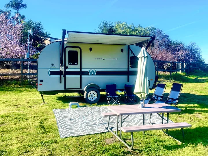 Avila Beach Wild Winnie! - Avila Beach, CA