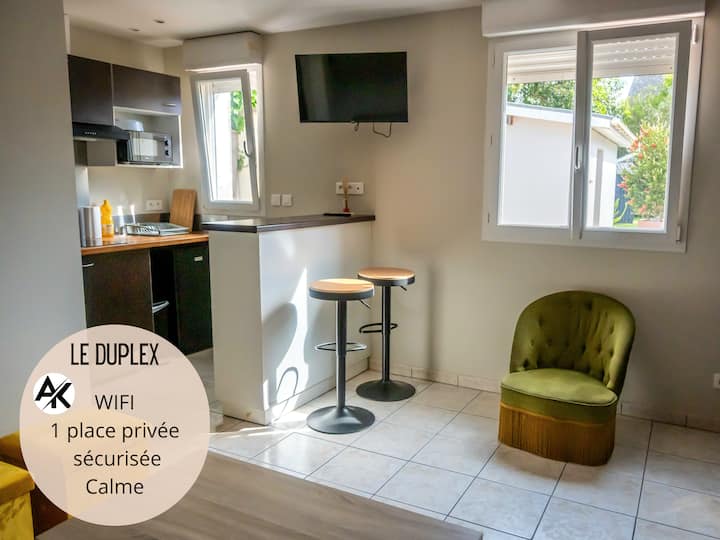 Le Duplex - Studio - Climatisé - Calme - Pau
