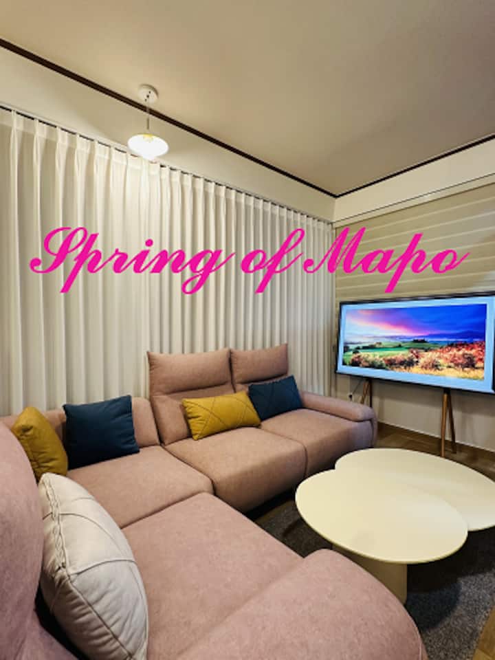 마포의봄201(spring Of Mapo) 홍대입구역 도보 5분 - Seoul