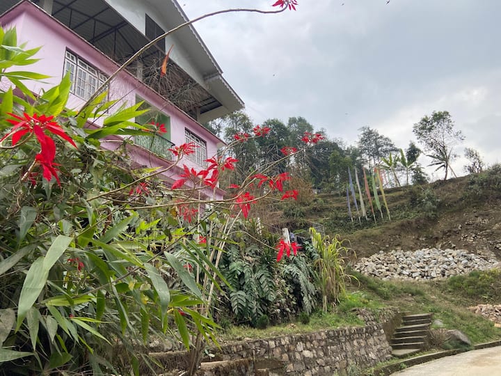 Serendipity Unplugged - Sikkim