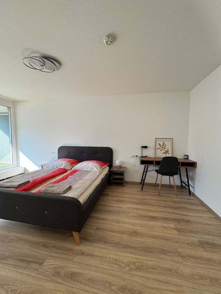 Terrasse Appartment In Mannheim Q6q7 - Mannheim Hbf Station