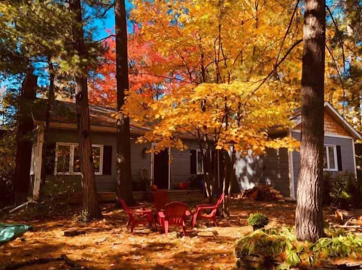 House In The Nature - Gatineau
