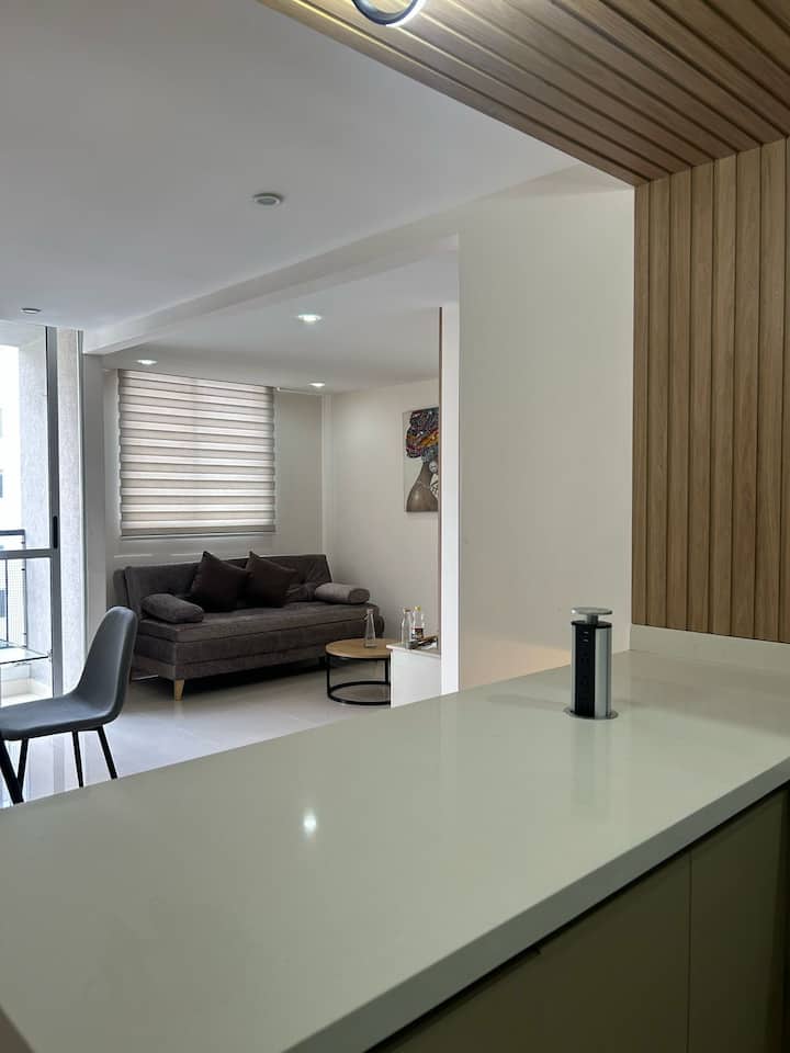 Lujoso Apartamento Con Aire Acondicionado - 산티아고데칼리
