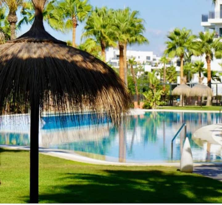 Aguacate Costa Tropical - Motril