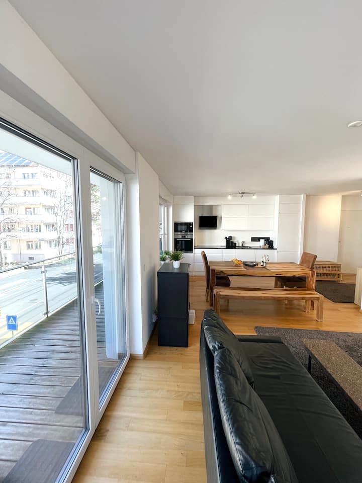 Baseliving 3,5 Room Suite - Bahnhof Sbb - Basel