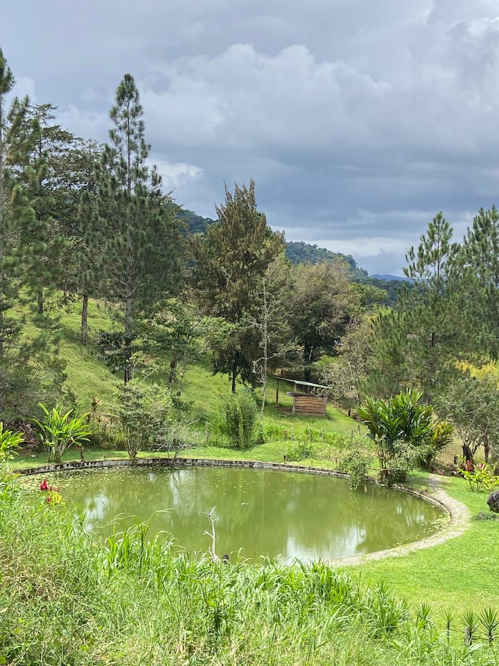 Apartamento En La Montaña - Cartago