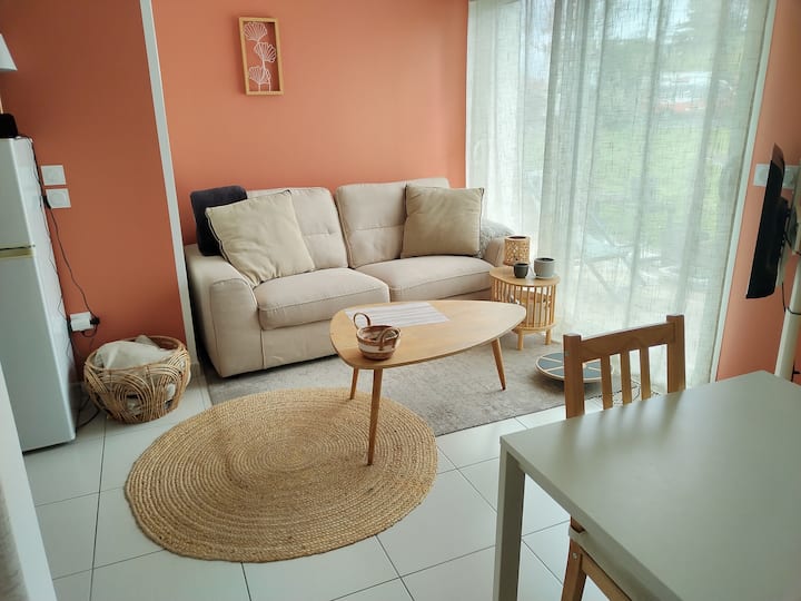 Bel Appartement Chaleureux - Saint-Sébastien-sur-Loire
