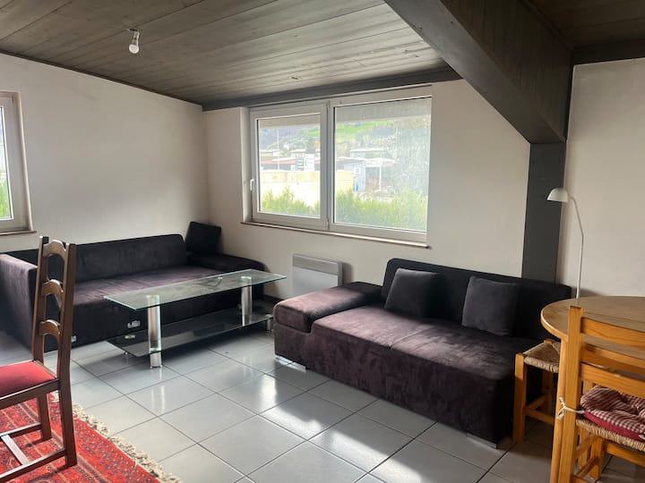 Grand Appartement Vu Mont Blanc - Sallanches